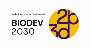 Parceiros de Conservação e Projectos | GEF-Mozambique